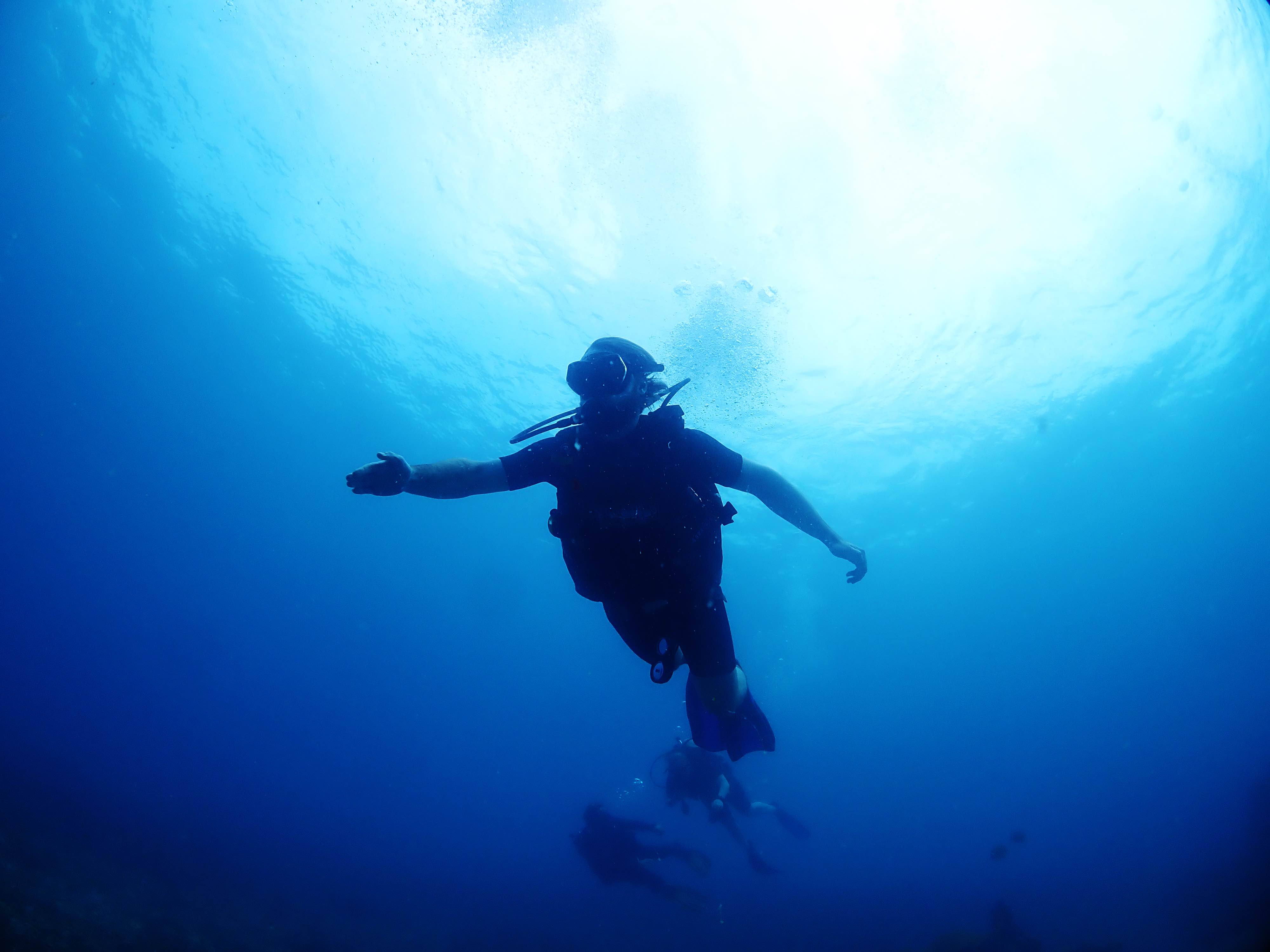 Into the blue — The Review Magazine.The Review Magazine.