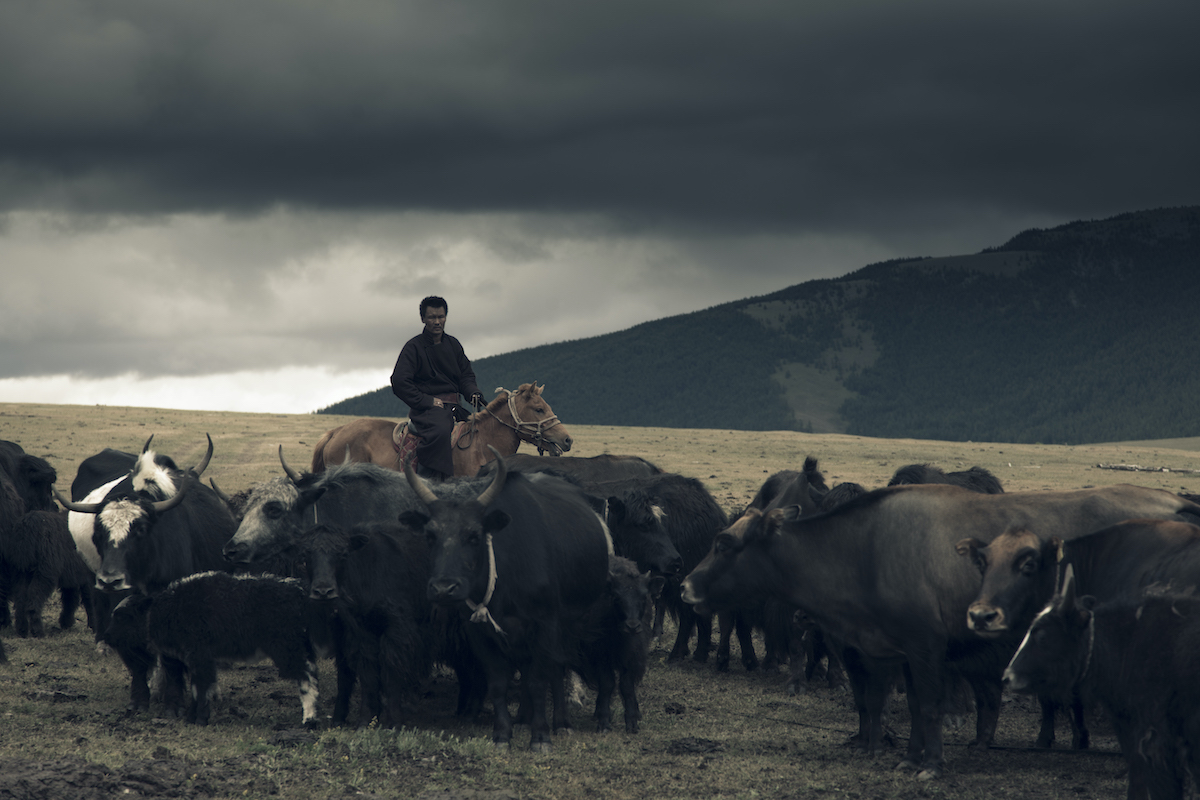 Tengri - The search for noble fibre Nancy Johnston speaks to The Review ...